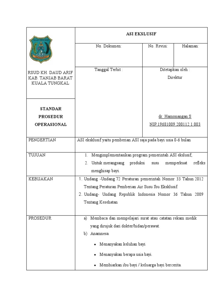 Panduan ASI Eksklusif untuk Ibu dan Bayi | PDF