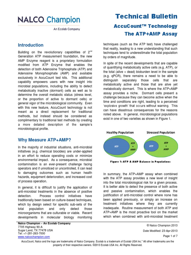 AccuCount™ AMP Whitepaper | PDF | Adenosine Triphosphate | Antimicrobial
