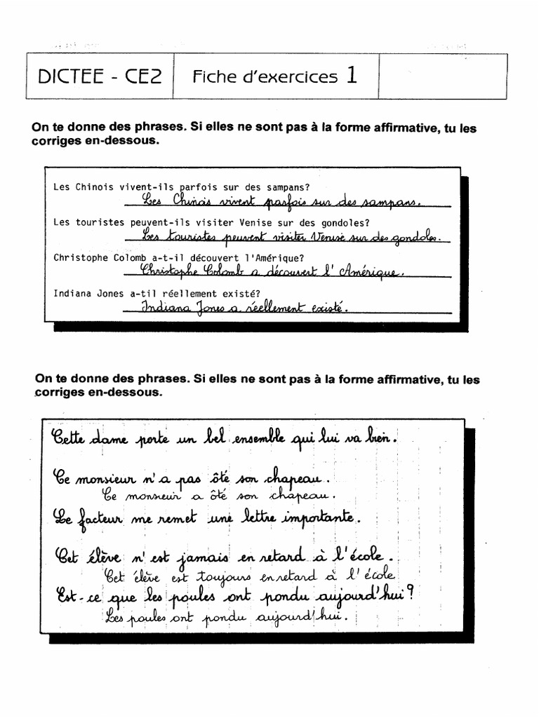 Exercices Dictée Ce2 Correction | PDF