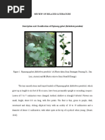Belt Transect Method | PDF | Chi Squared Test | Correlation And Dependence