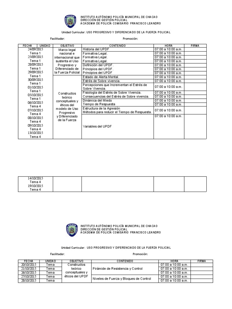 Programacion UPDF PDF
