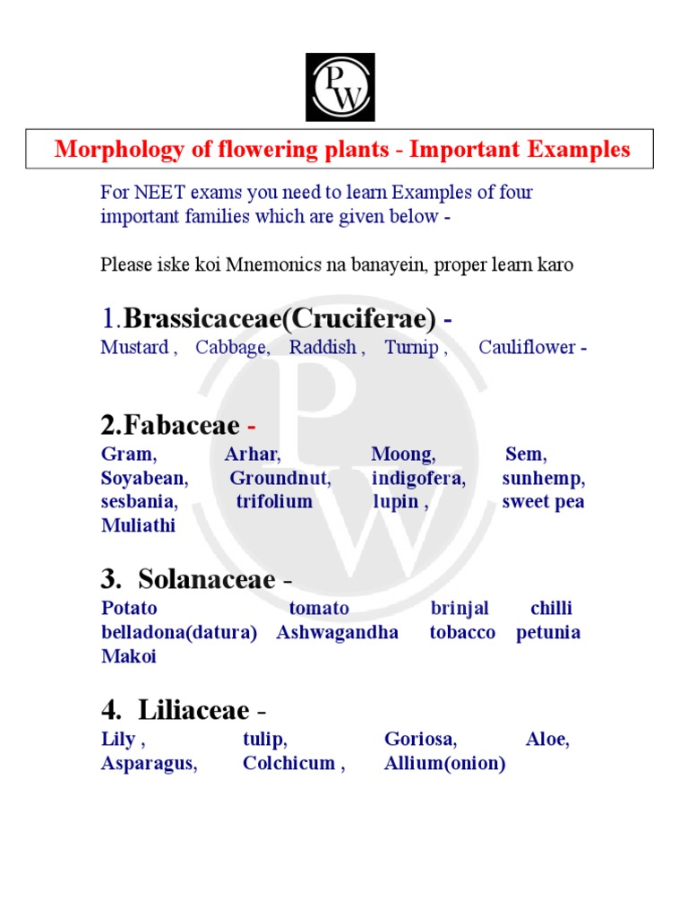 Morphology of Flowering Plants - Important Examples | PDF