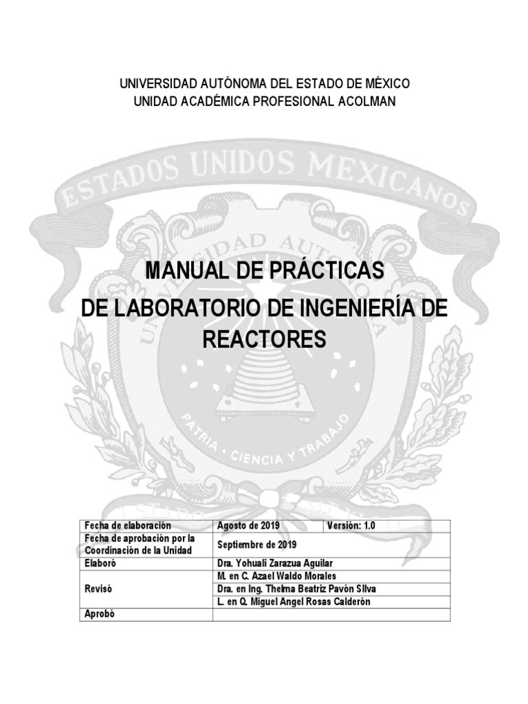 Manual de Ingenieria de Reactores | PDF | Reactor Quimico | Cinética química