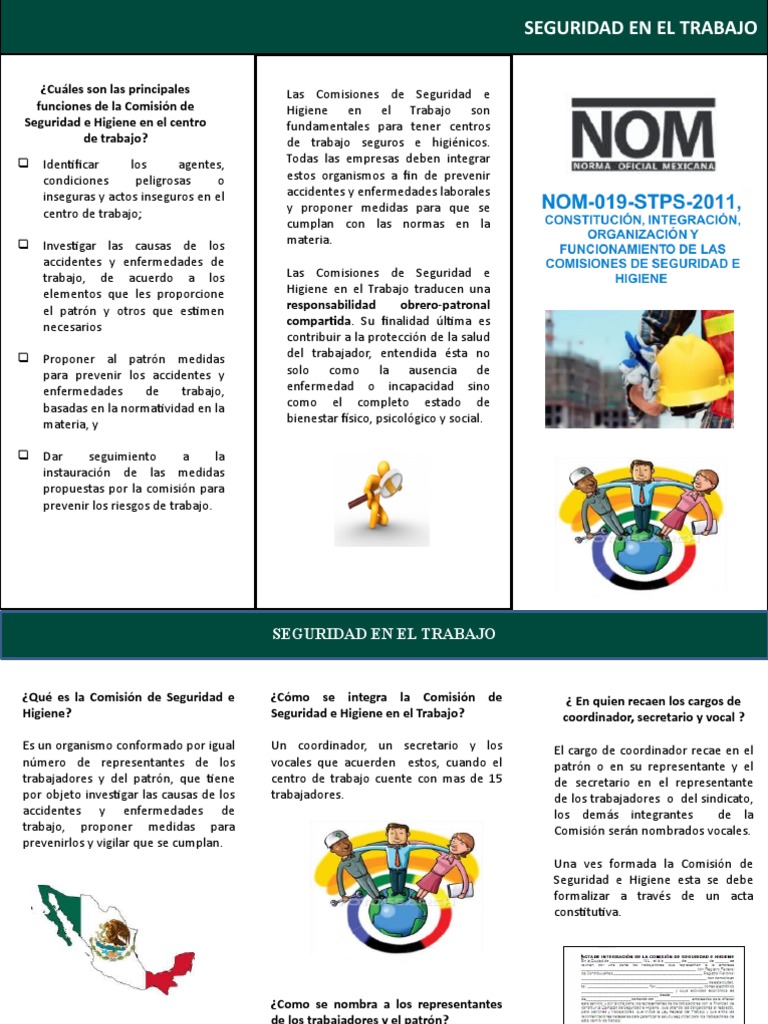 Triptico Nom 019 | PDF | Ciencias de la Salud