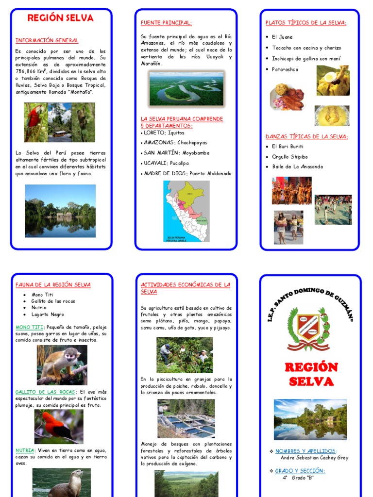 Clima y biodiversidad de la selva peruana | PDF | Selva | río Amazonas