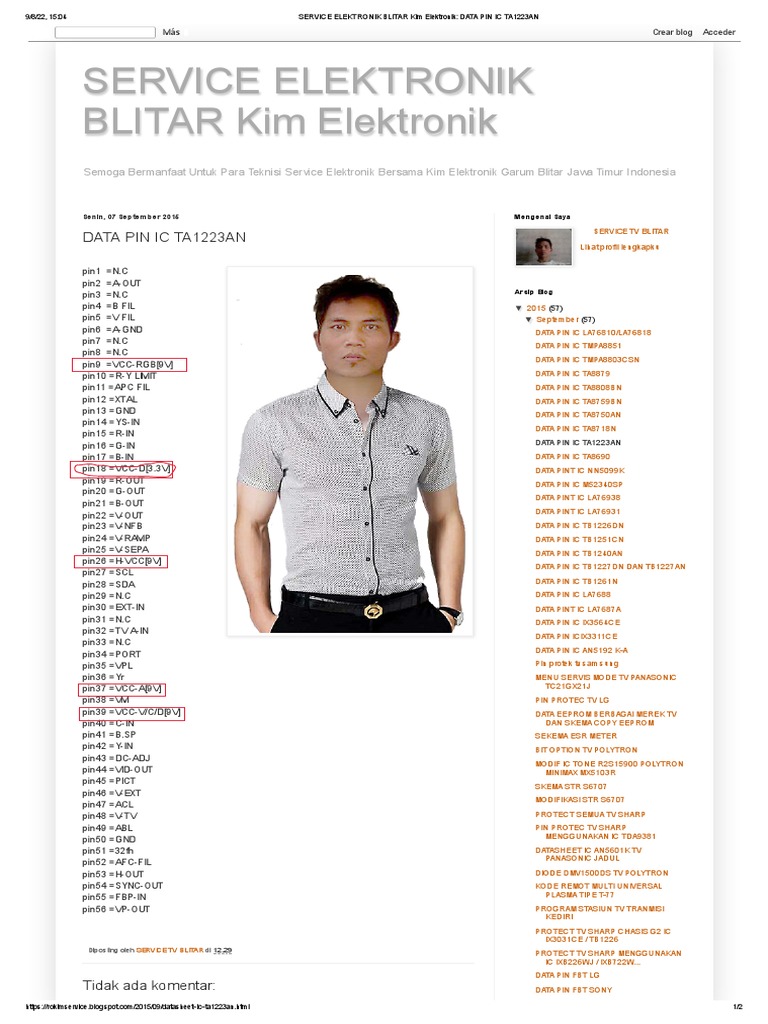 DATA PIN IC TA1223ANimp | PDF