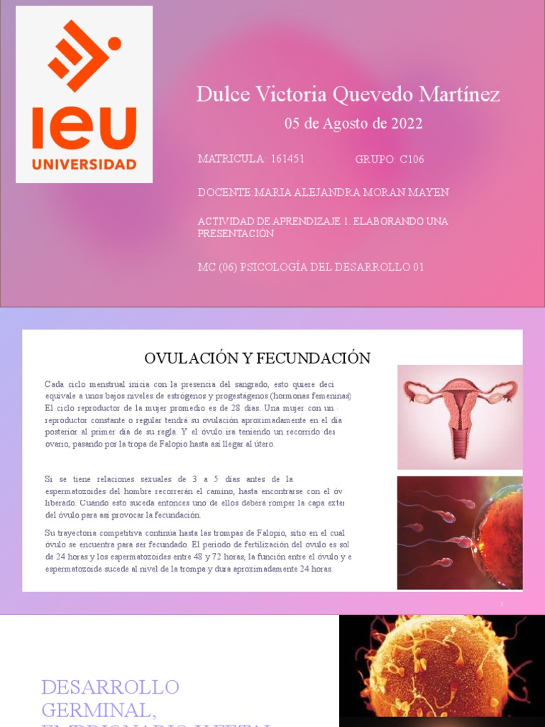 Elaborando Una Presentacion | PDF | El embarazo | Reproducción humana