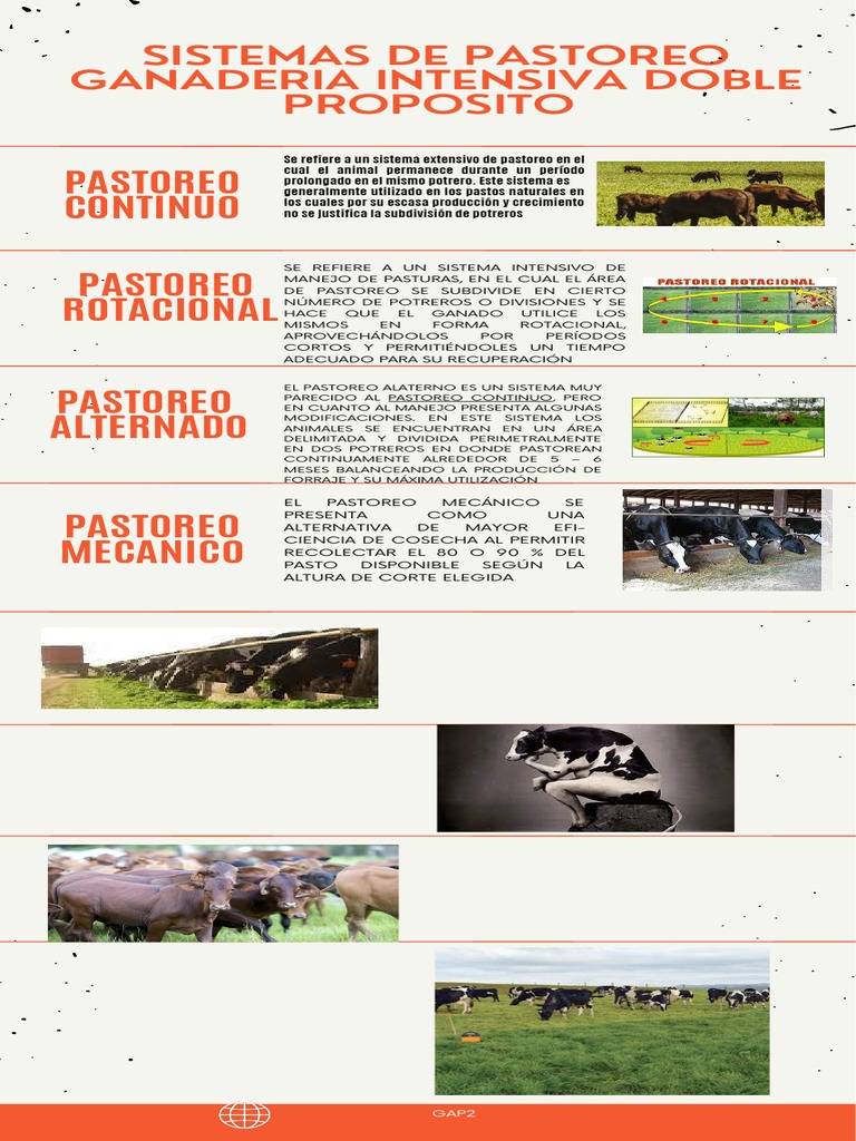 Tipos de Pastoreo Infografía | PDF
