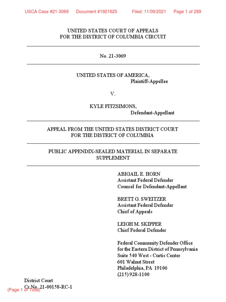 Fitzsimons Appellate Court Appendix | PDF | Remand (Detention) | Complaint