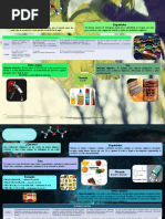 Grupo Funcional Éter y Éster | PDF | Ester | Éter