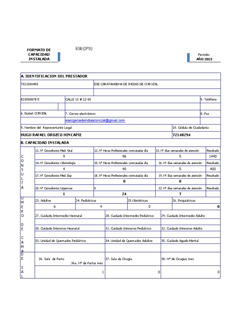 Formato de Capacidad Instalada Cajacopi | PDF | Especialidades Medicas | Medicina