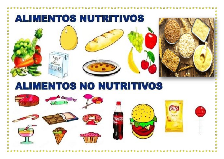 Alimentos Nutritivos y No Nutritivos | PDF