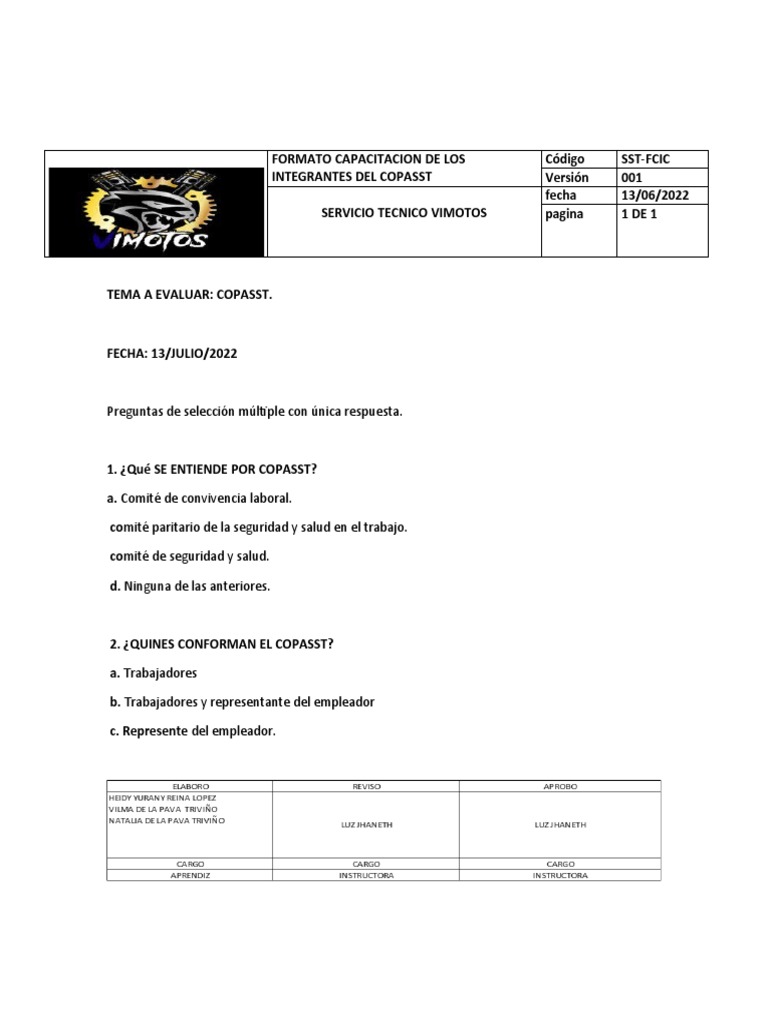 Formato de Capacitacion Del Copasst | PDF | Ciencias de la Salud