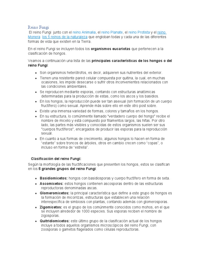 Reino Fungi | PDF | Hongo | Espora