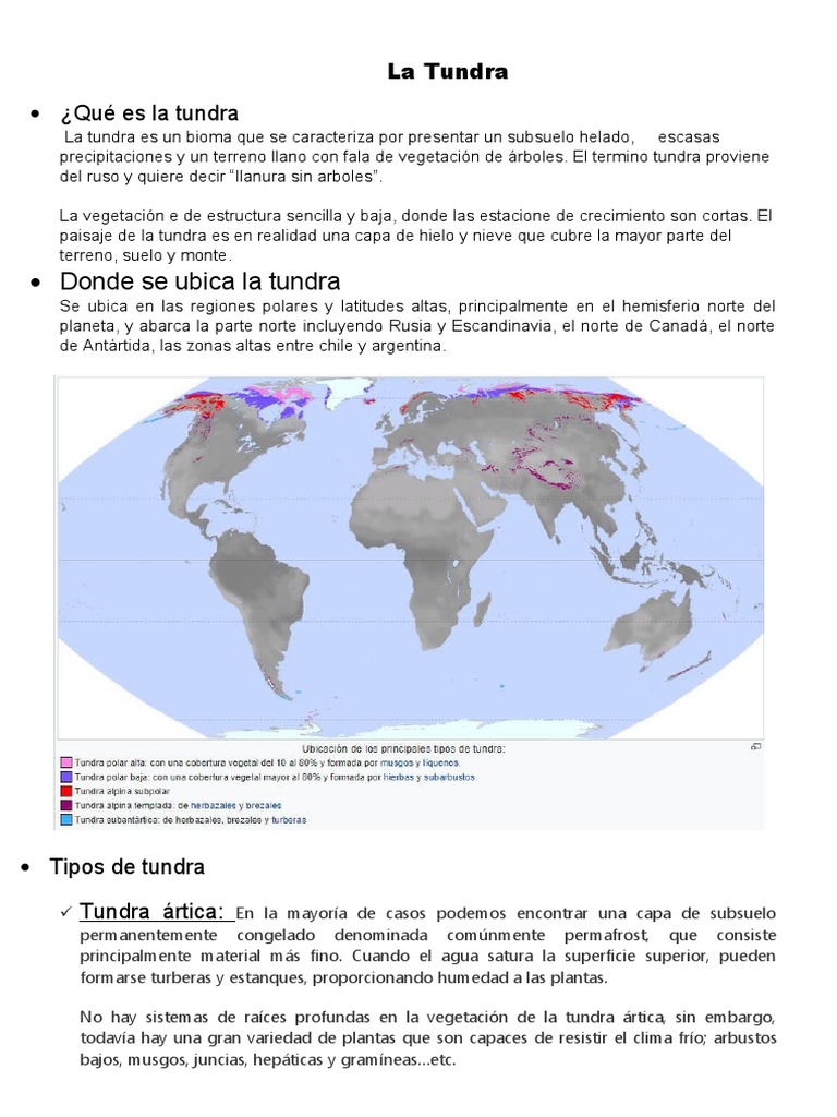 La Tundra | PDF | Geografía Física | Ciencias de la Tierra