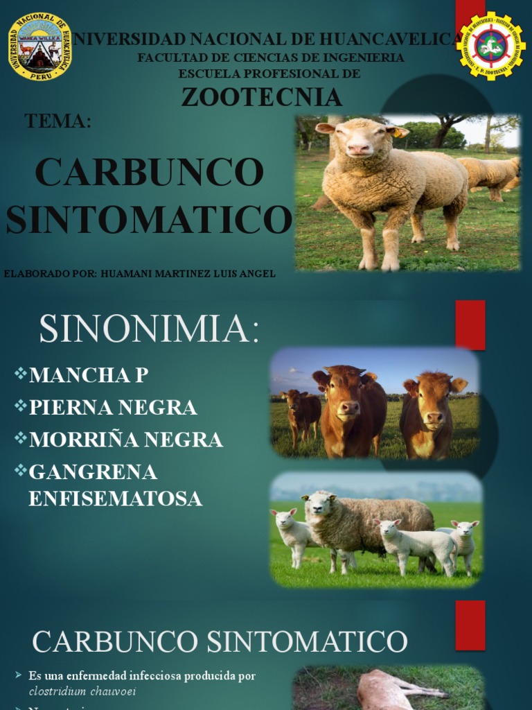 Carbunco Sintomatico | PDF | Ántrax | Medicina CLINICA