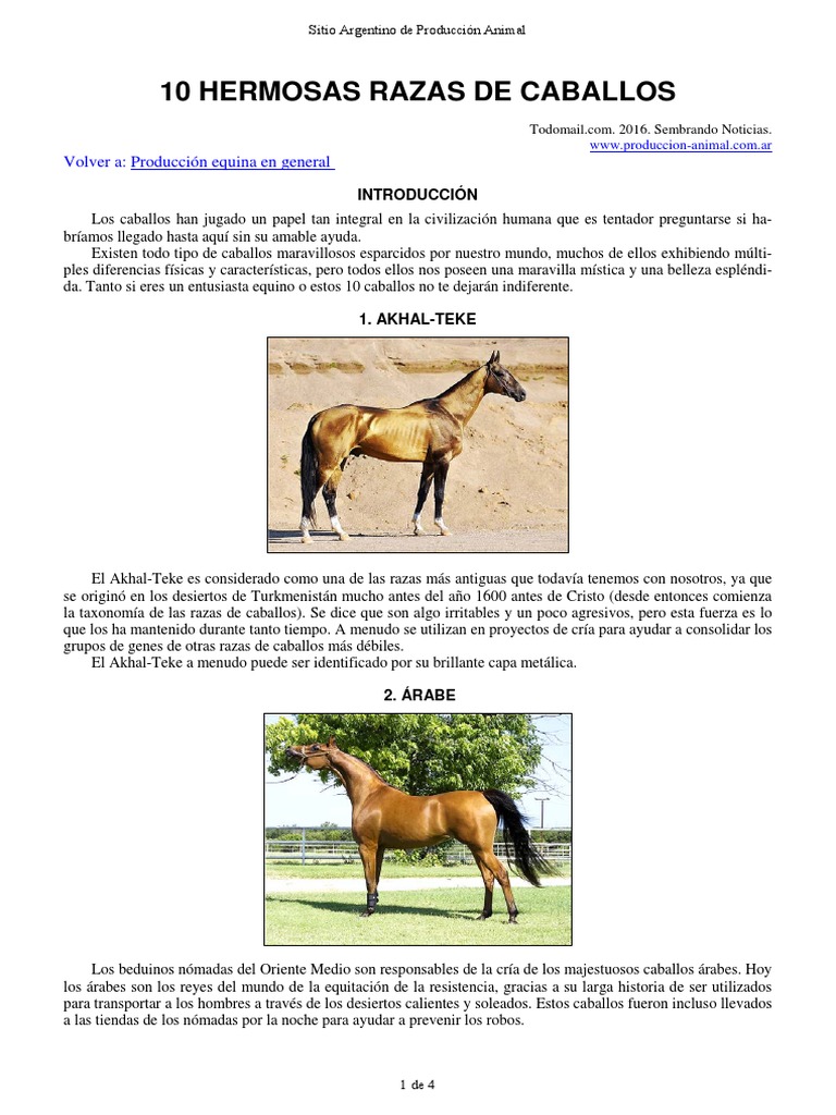 10 Razas de Caballos | PDF | Caballos | Équidos