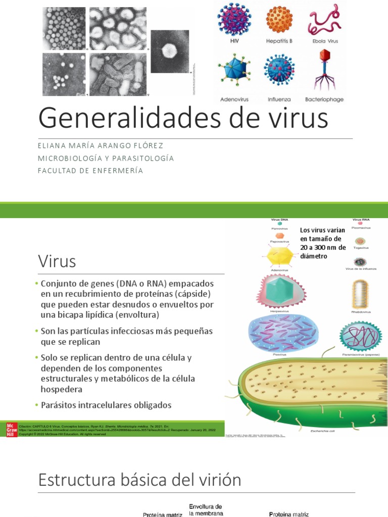 Generalidades de Virus 2022-1 | PDF | Virus | Rna