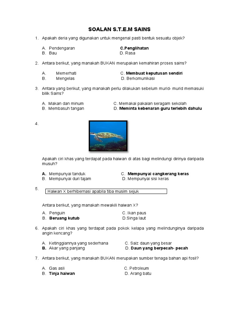 Soalan Stem Sains | PDF