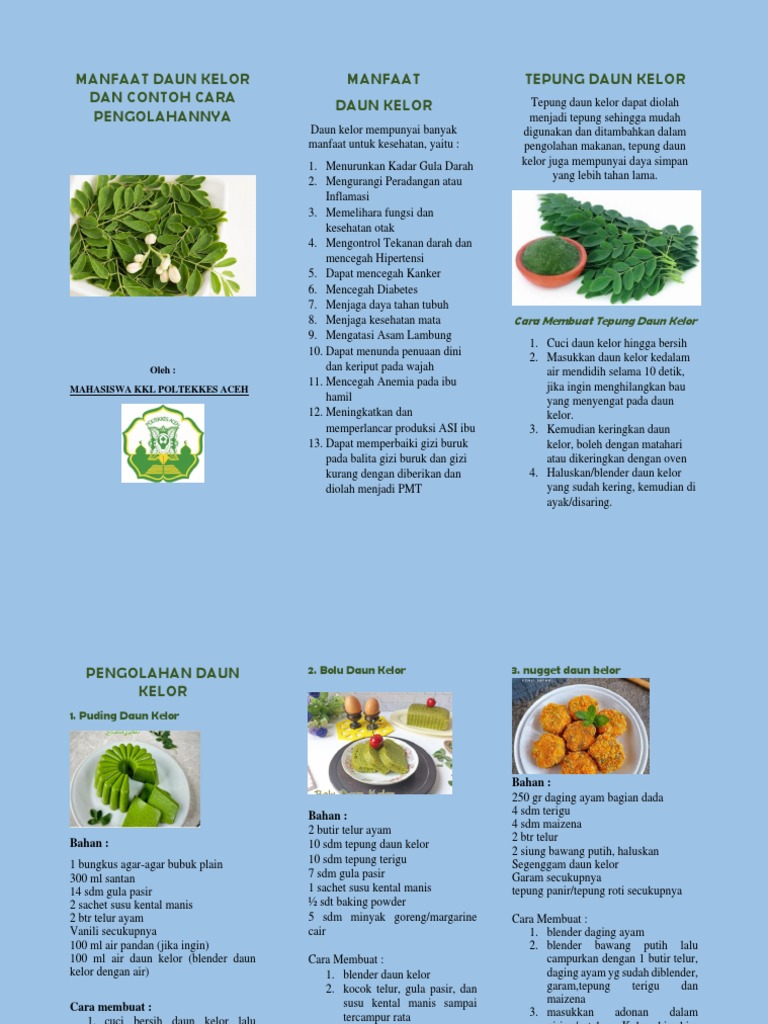 Leaflet Daun Kelor | PDF
