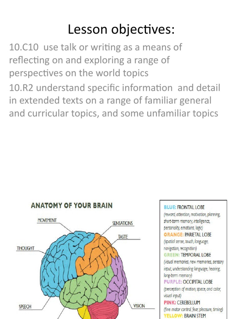 Grade10 - Capabilities of Human Brain - Parts of The Brain - Lesson2 | PDF | Career & Growth | Art