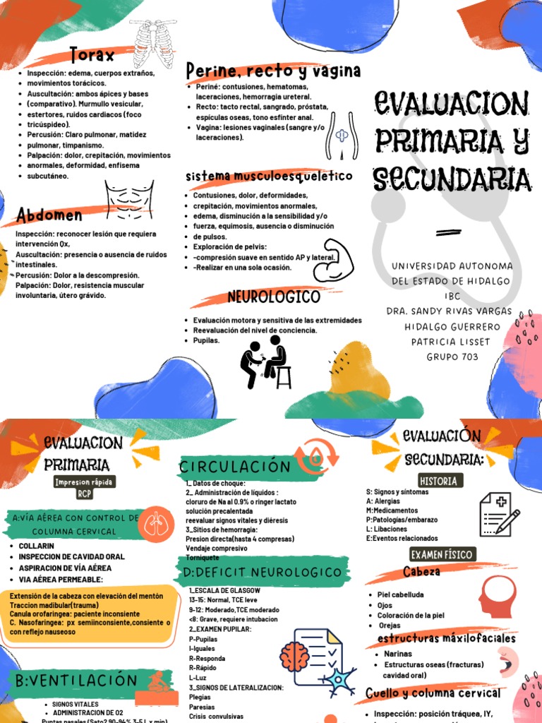 Evaluación Primaria y Secundaria | PDF