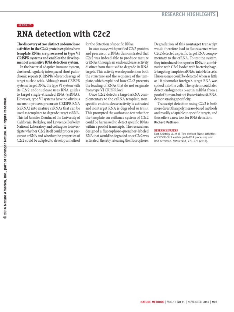 (2016) Pattison - RNA Detection With C2c2 | PDF | Crispr | Rna