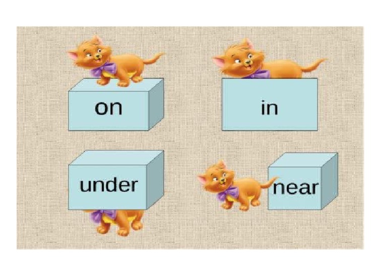 In, On, Under, Near | PDF