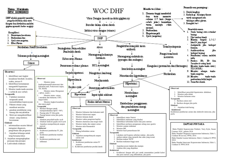 Woc DHF | PDF