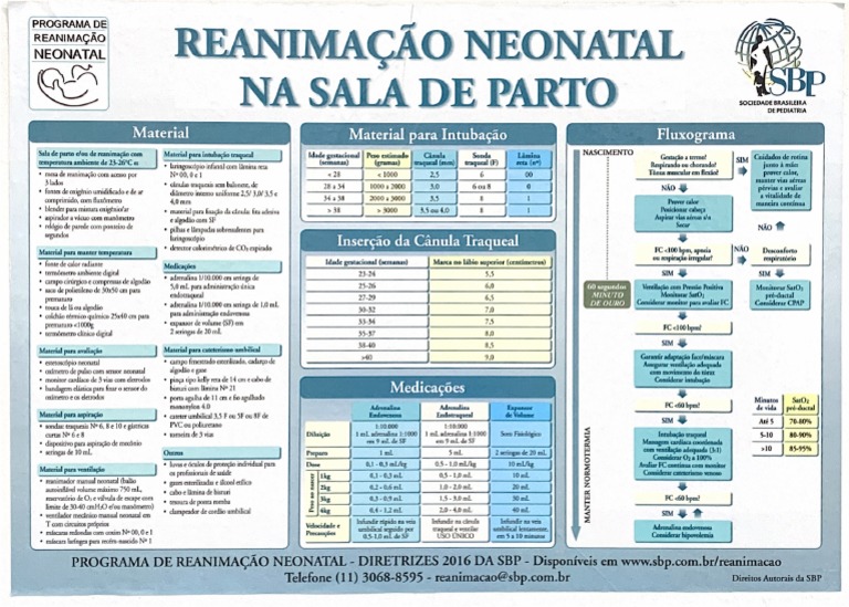 Reanimação Neonatal Na Sala de Parto | PDF