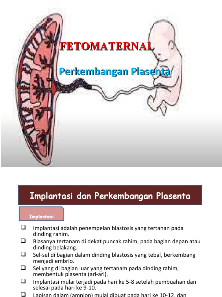 7 Fetomaternal - Perkembangan Plasenta - Maulia Isnaini | PDF