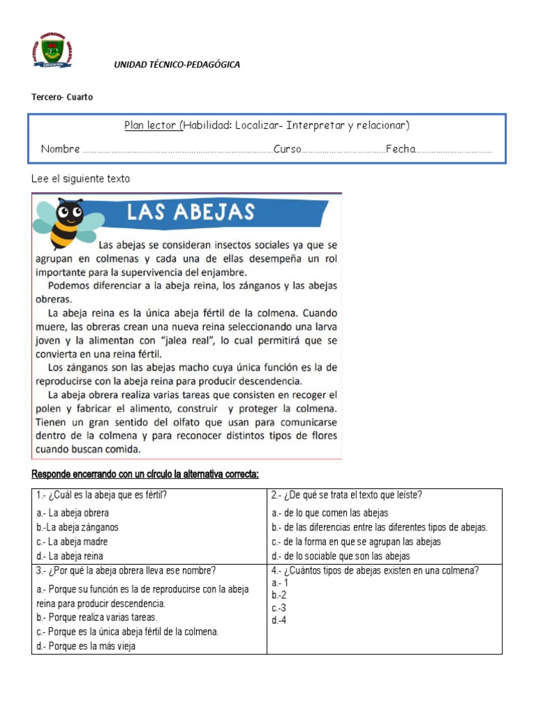 Lectura y preguntas sobre abejas | PDF