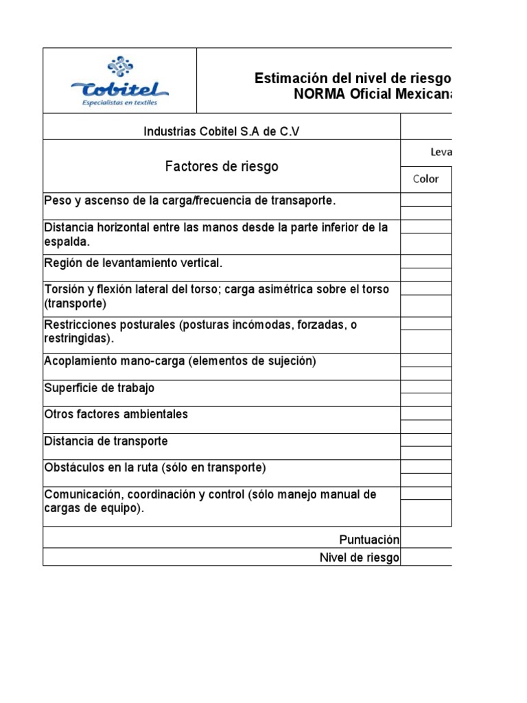 Formatos NOM 036 | PDF