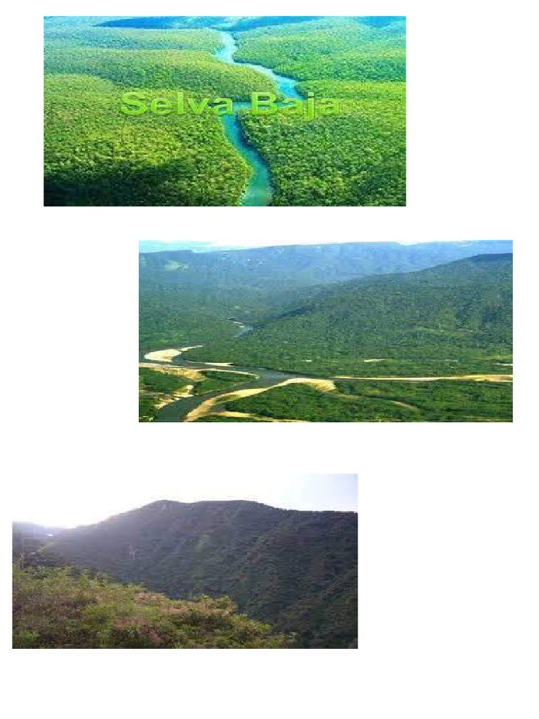 Las 8 Regiones Naturales Del Peru 2 | PDF