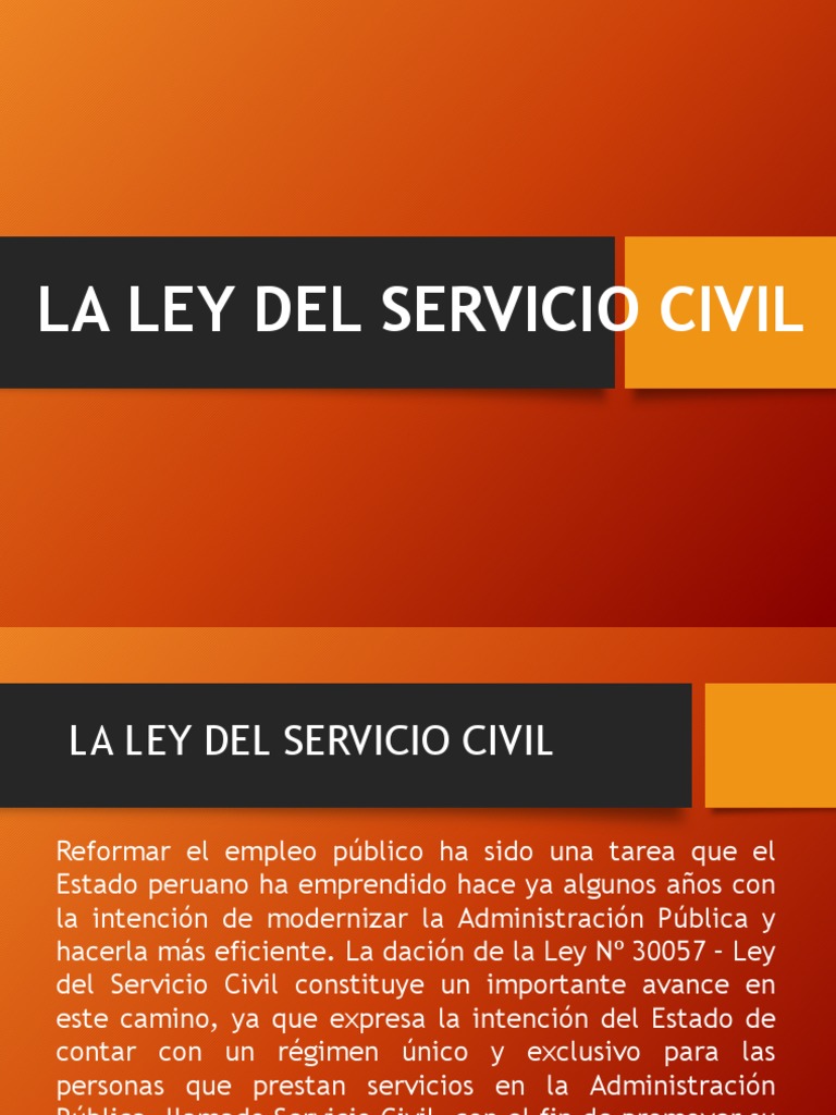 Ley Servir | PDF