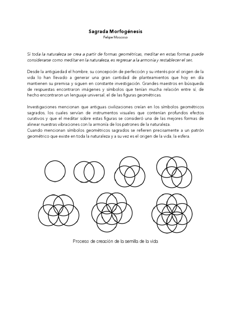 Sagrada Morfogénesis | PDF | Naturaleza | Animación
