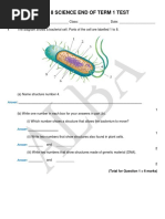 Year 8 Science Exam Practice Questions 2016 | PDF | Chemical Substances ...