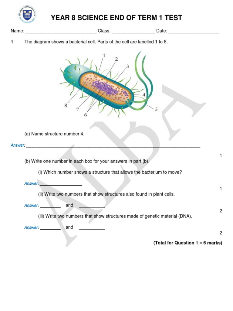 Zills - Year 8 Science Exam | PDF | Soil | Digestion