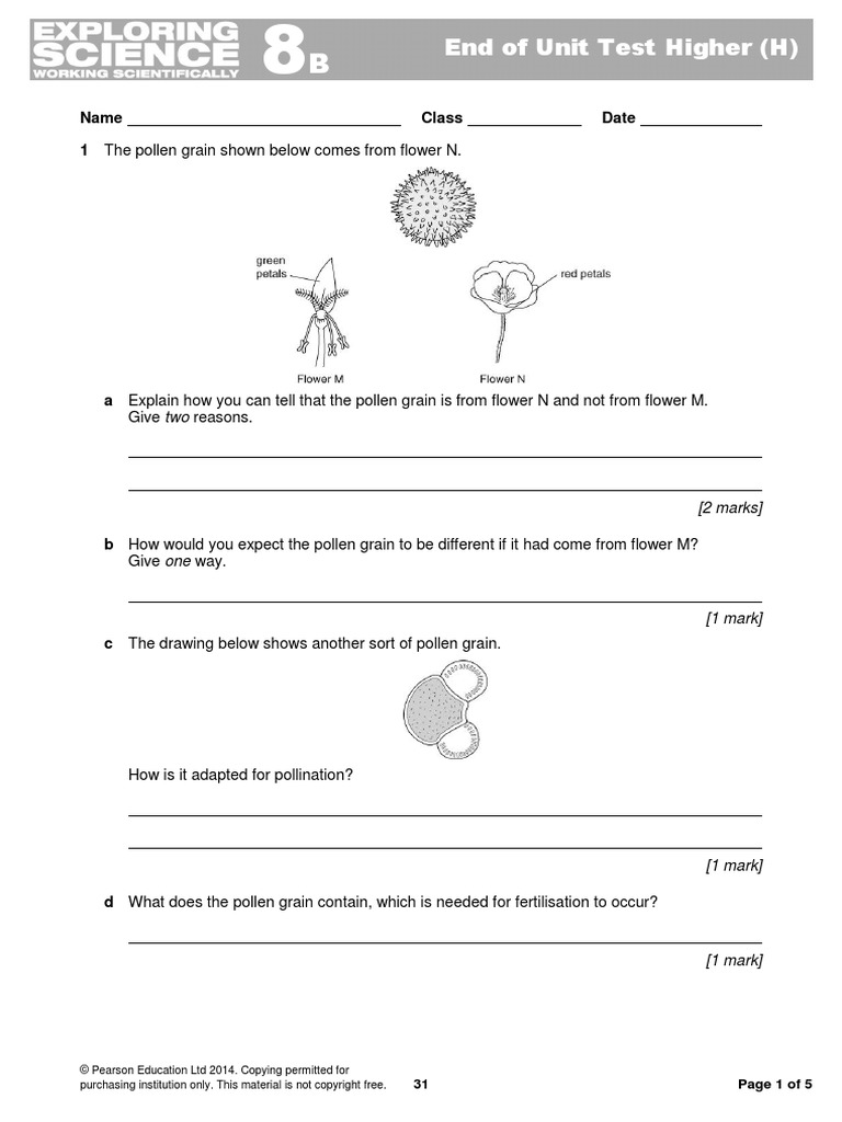 End of Unit Test Higher (H) : Give Two Reasons | PDF | Flowers | Seed