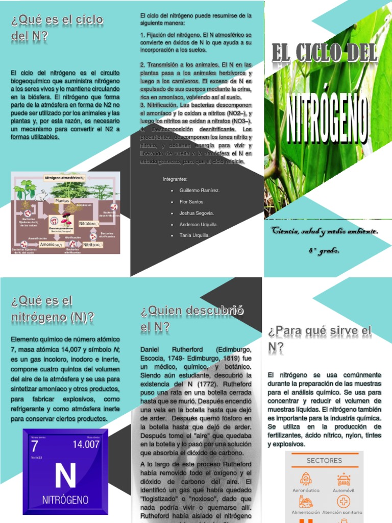 Ciclo de El Nitrogeno 2 | PDF | Nitrógeno | Química