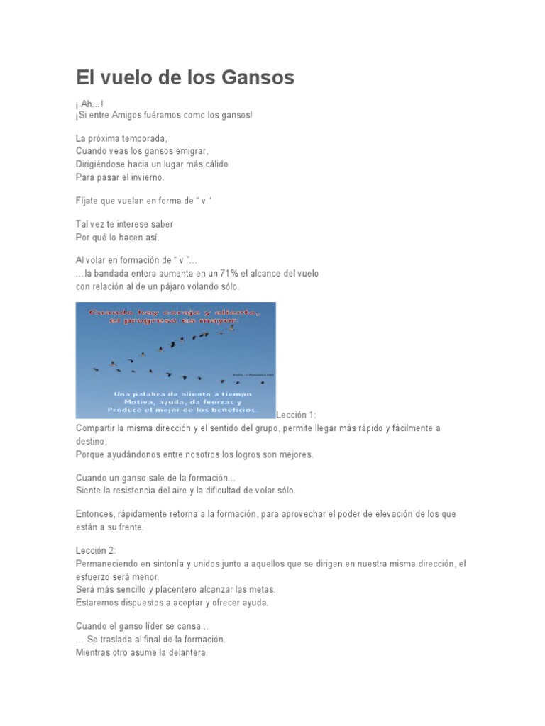 La sabiduría de los gansos: lecciones sobre el trabajo en equipo y la ...