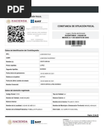 Ejemplo Constancia Situación Fiscal | PDF | Gobierno