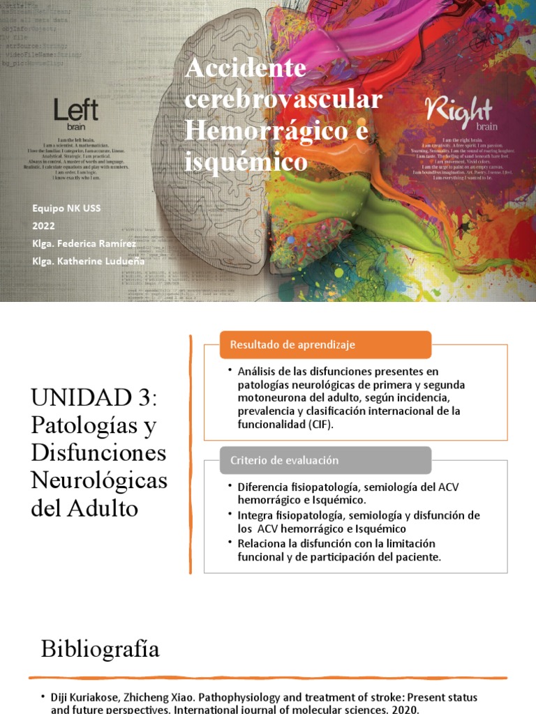 Tema 26. Accidente Cerebrovascular Hemorrágico e Isquémico | PDF ...