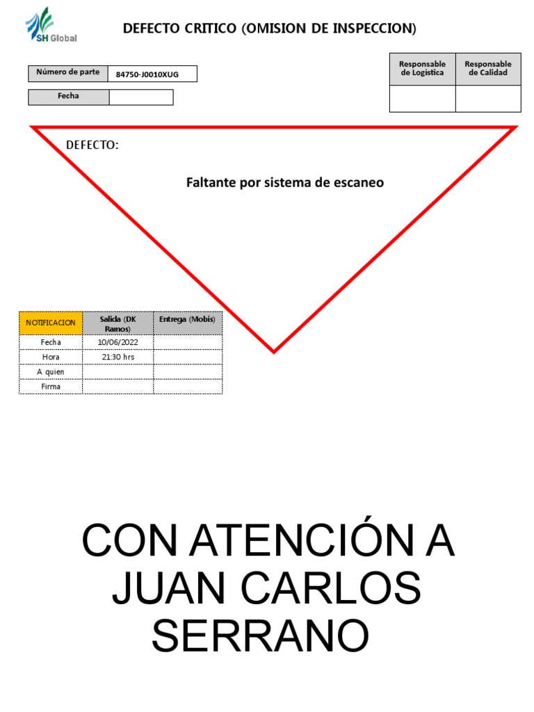 Critical Defect Tag | PDF