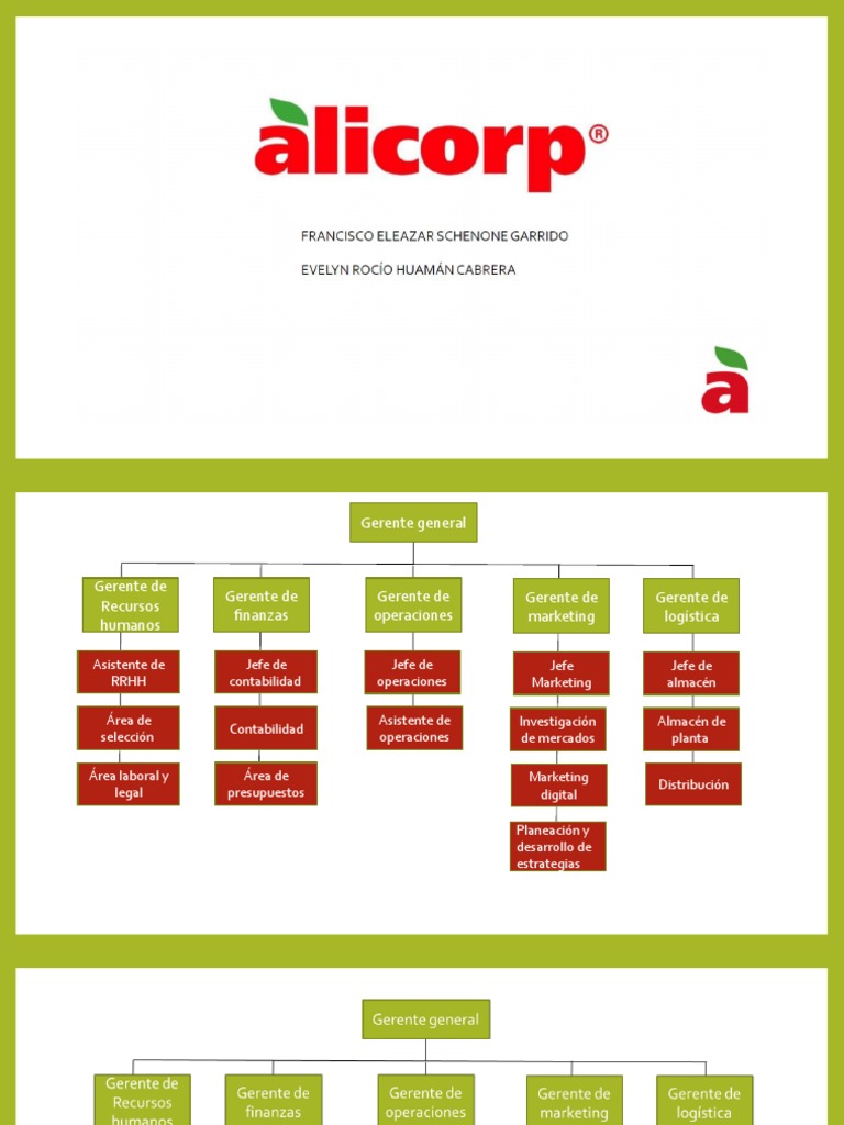 Alicorp Saa Esquema de Procesos | PDF | Logística | Marketing