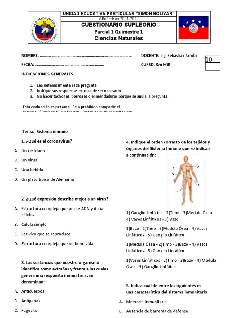 8p1 8p2 8p3 8p4 Merged | PDF | Citoplasma | Sistema inmune