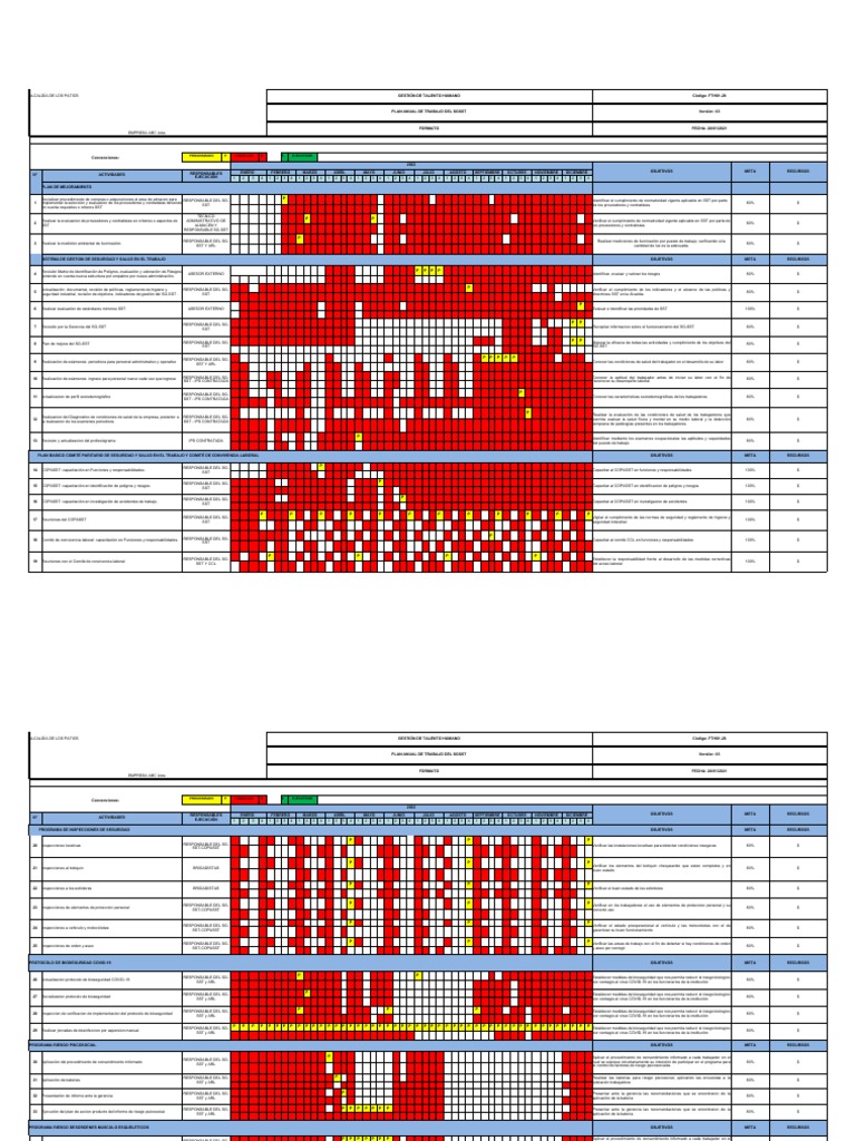 Plan Anual | PDF