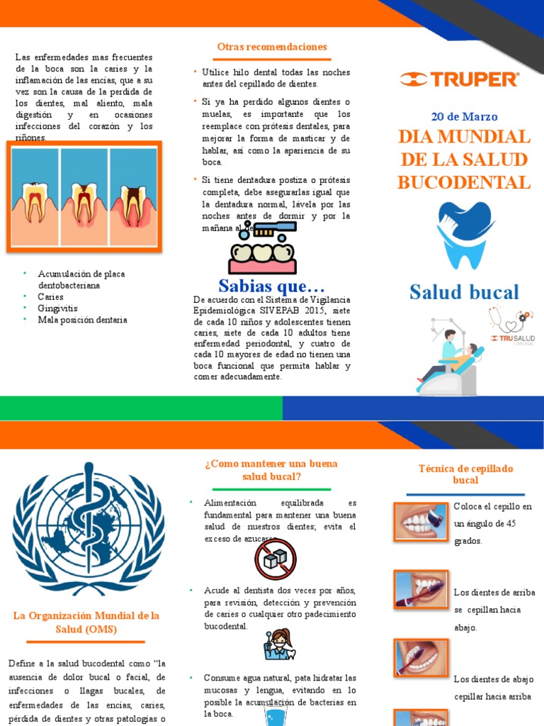 TRÍPTICO Salud Bucal | Descargar gratis PDF | Dentadura postiza ...
