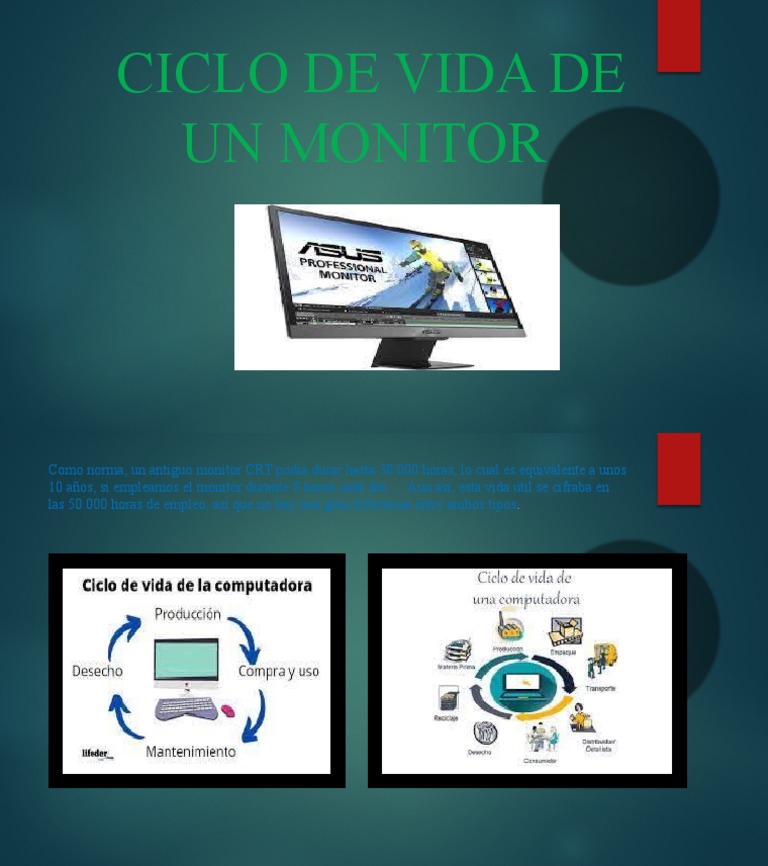 Ciclo de Vida de Un Monitor | PDF