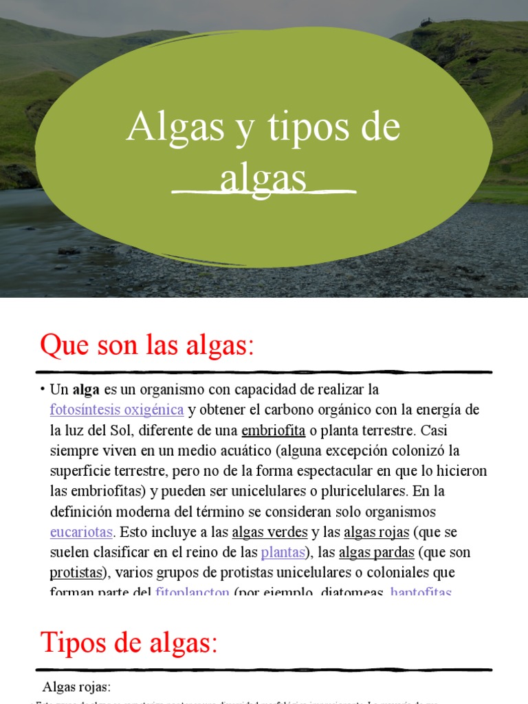 Tipos de Algas: Verdes, Rojas y Pardas | PDF | Algas | Plantas